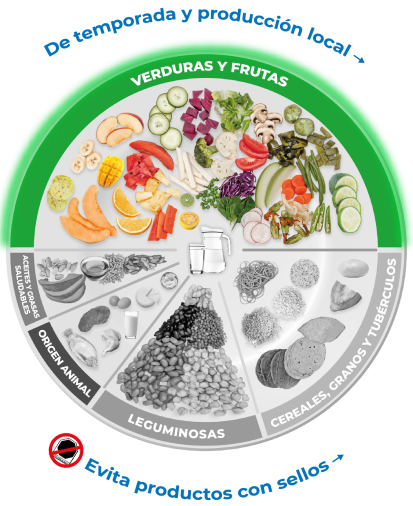 Grupos De Alimentos Para Niños